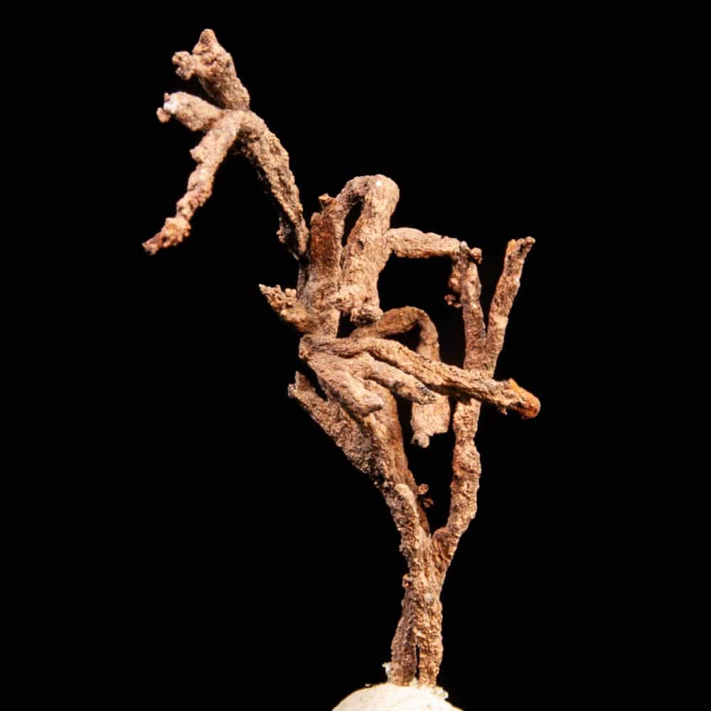 Native Copper – UCMinerals - Fine Collector Mineral Specimens for Sale