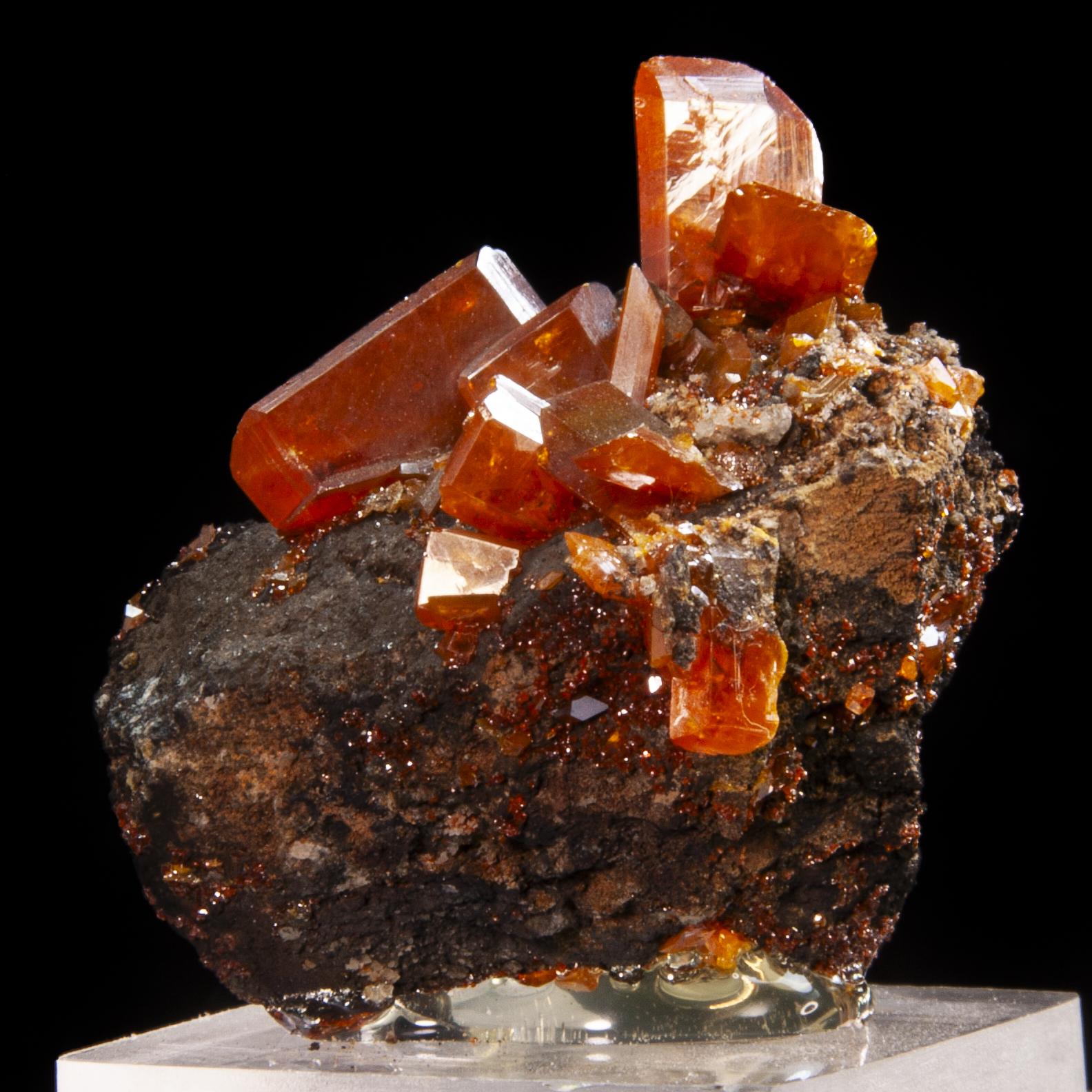 Wulfenite Fine Mineral Specimen for Sale - UCMinerals.com