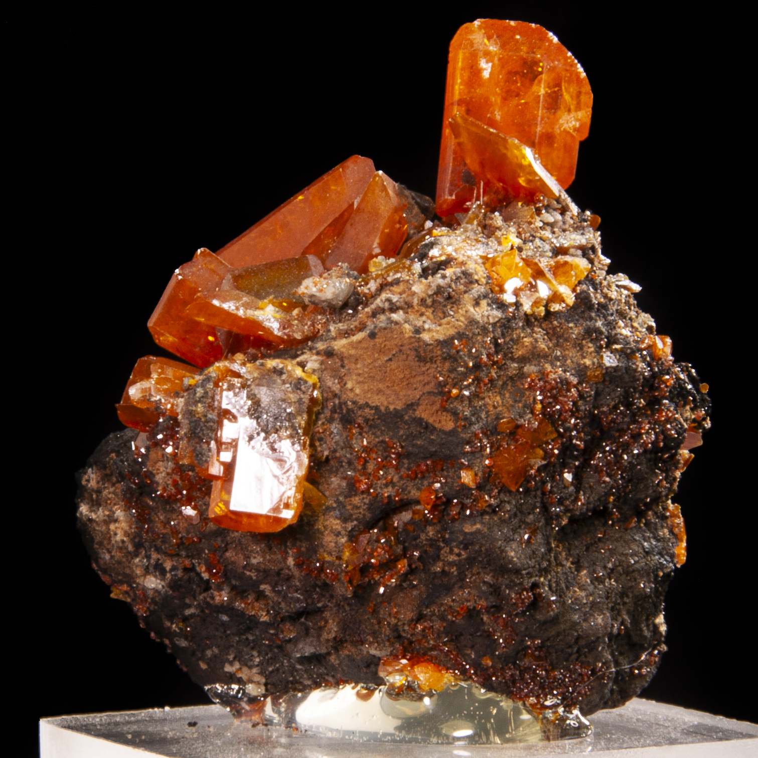 Wulfenite Fine Mineral Specimen for Sale - UCMinerals.com