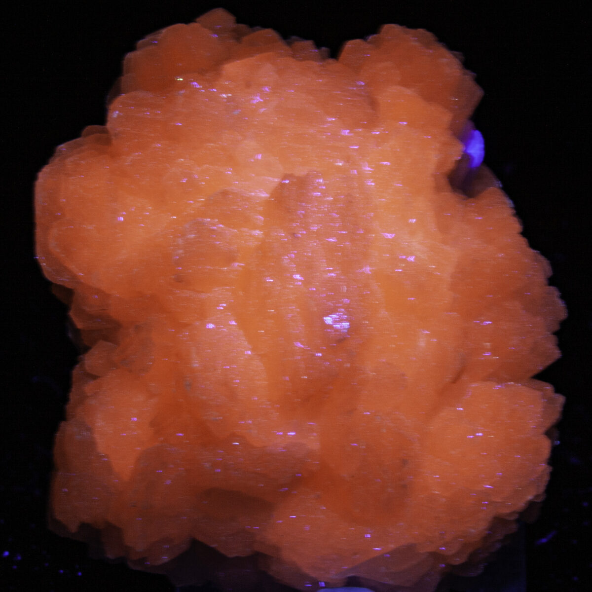 Calcite (var. Manganoan), Fluorescent - Mineral Specimen for Sale ...